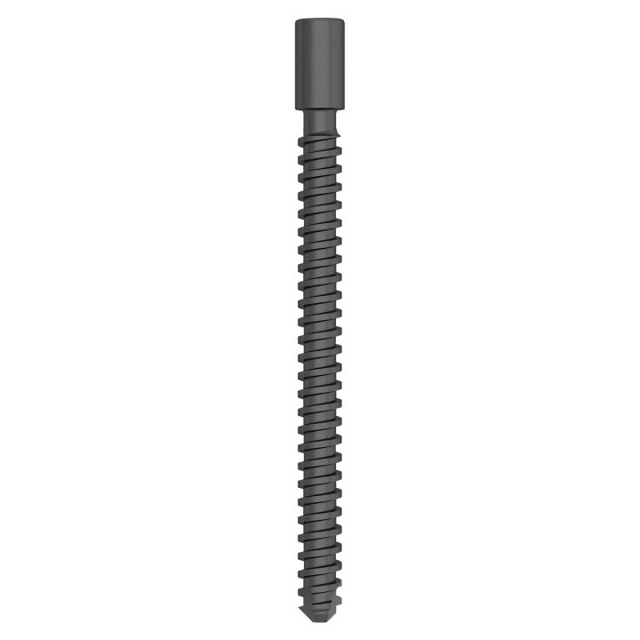 Compression Screw for Proximal Femoral Compression Nail | Boneunion Medical Compression Screw for Proximal Femoral Compression Nail | Boneunion Medical